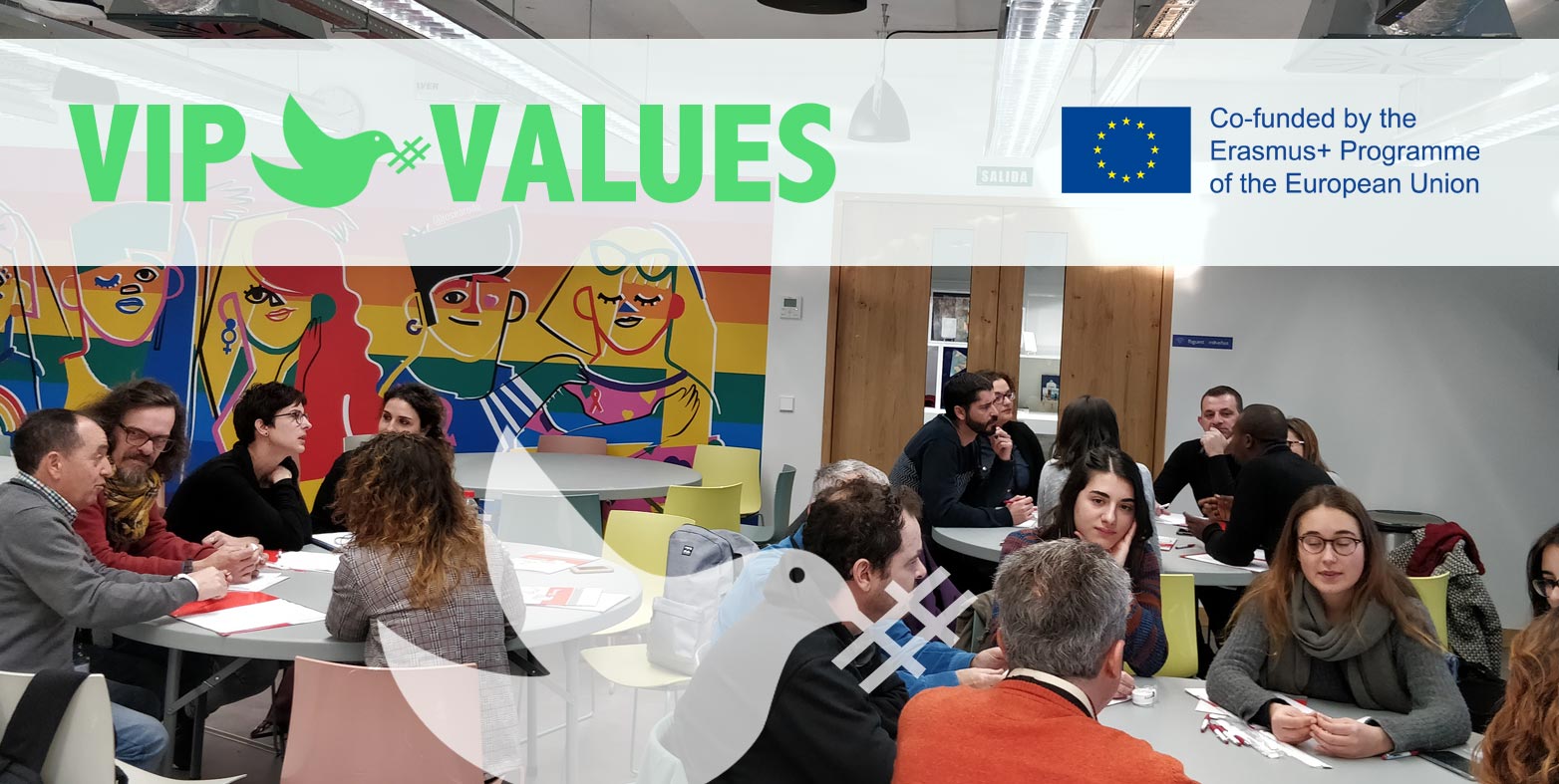 VIP Values: Buenas prácticas para voluntarios y formadores que trabajan ...